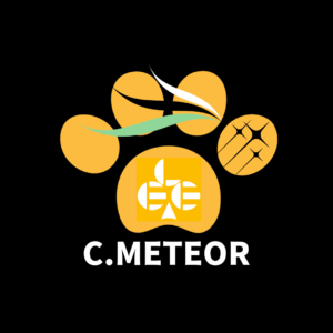 C.METEOR - ELE Inc.